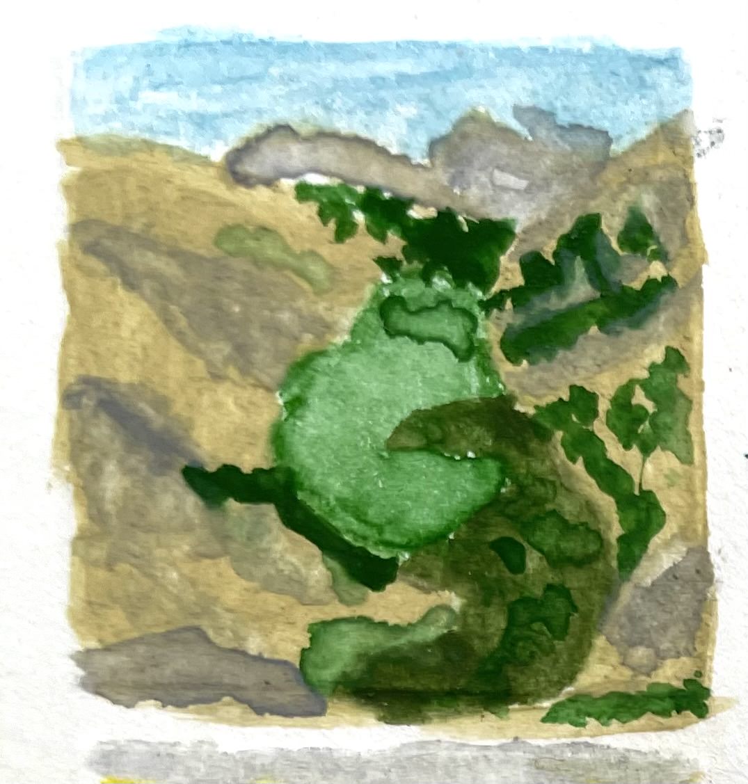 ITSY BiTsY - Duck Trail – Hi Desert Daydream