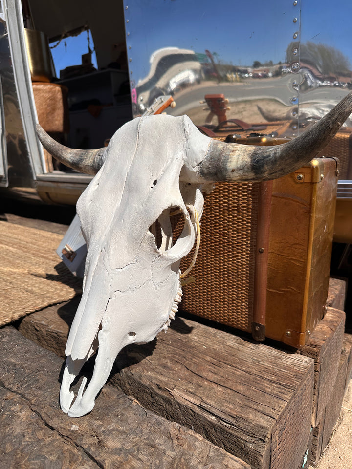 Authentic Bullhead – Hi Desert Daydream